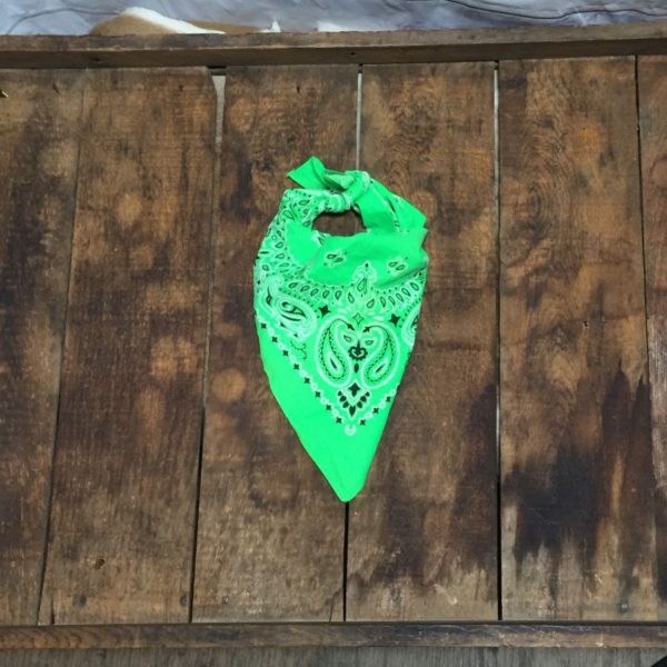 NEON GREEN PAISLEY PRINT BANDANA » Boardwalk Vintage