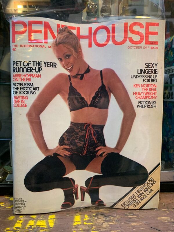 Penthouse Magazine | October 1977 Pet Of The Year Runner Up | Boardwalk Vintage